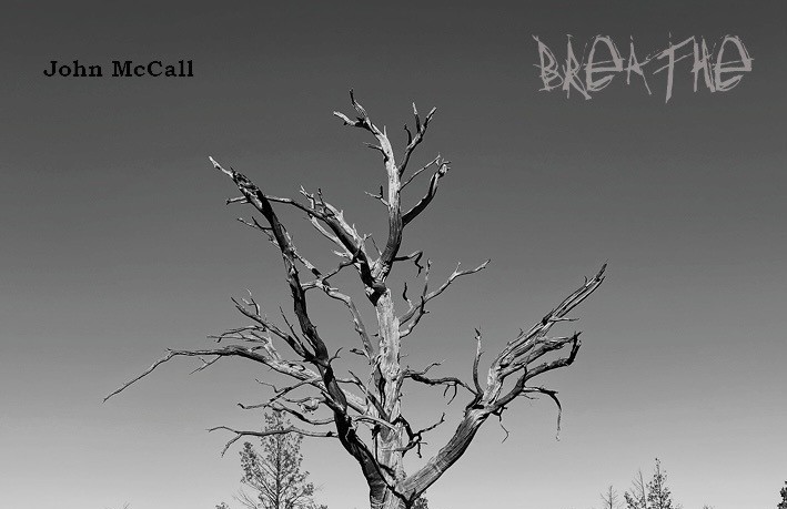 John McCall for Artists in the Lane - Pulteney Grammar School