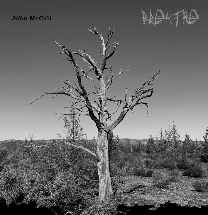 John McCall for Artists in the Lane - Pulteney Grammar School